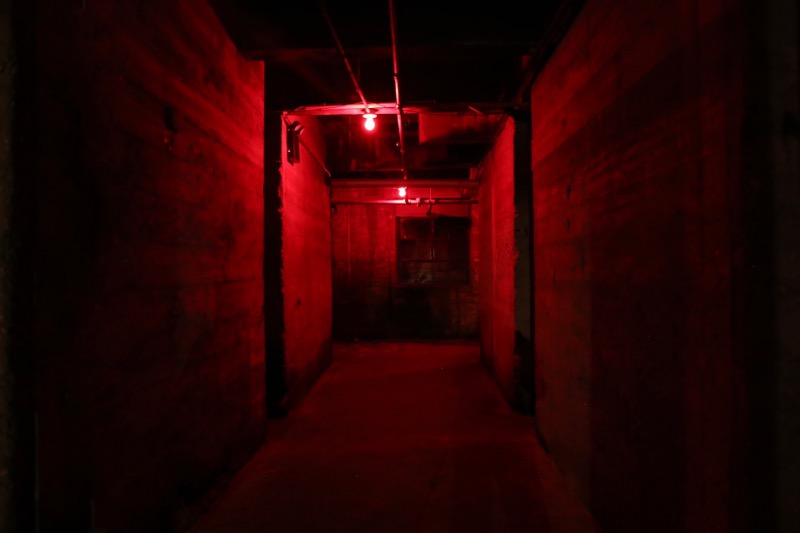 Sniffies App | Official