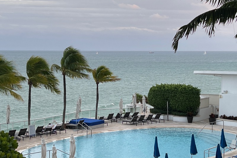 Sniffies App | Official