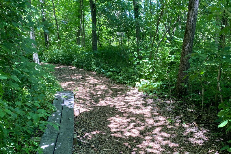 Sniffies App | Official