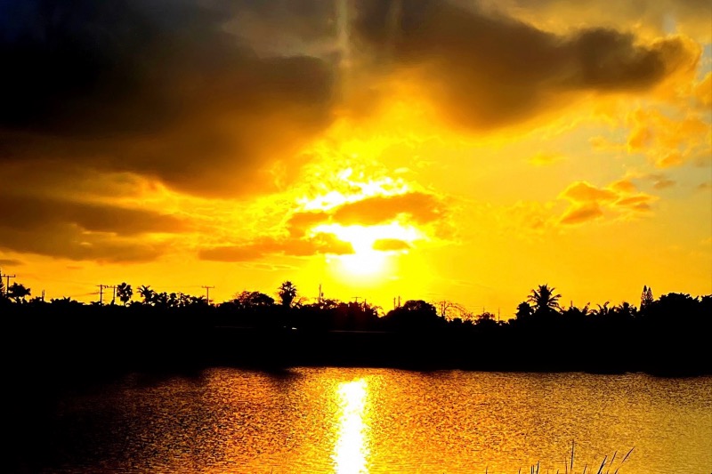 Sniffies App | Official