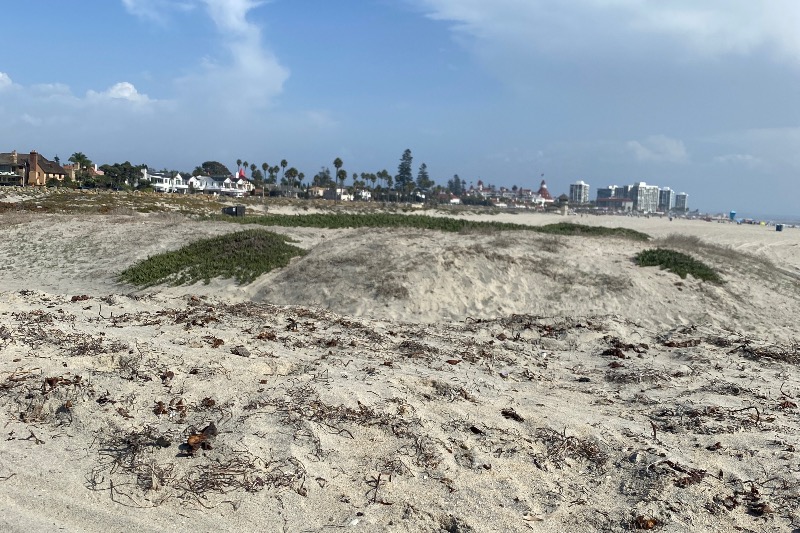 Sniffies App | Official