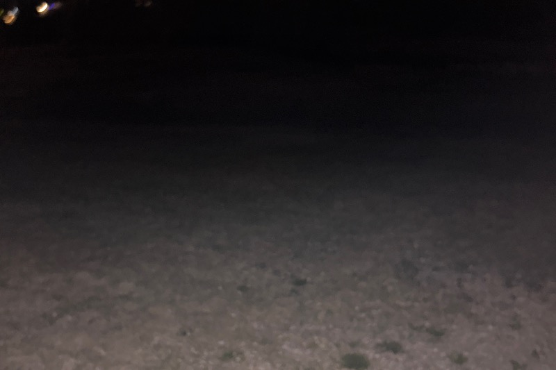 Sniffies App | Official