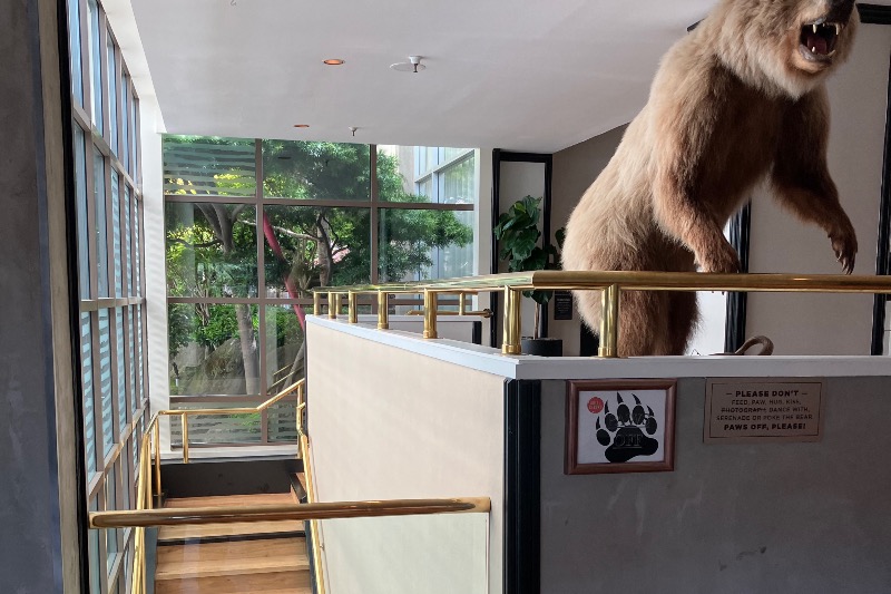 Sniffies App | Official